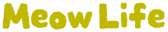 茶白猫がかわいすぎる理由を徹底解説！模様・性格で癒される存在とは？ | Meow Life
